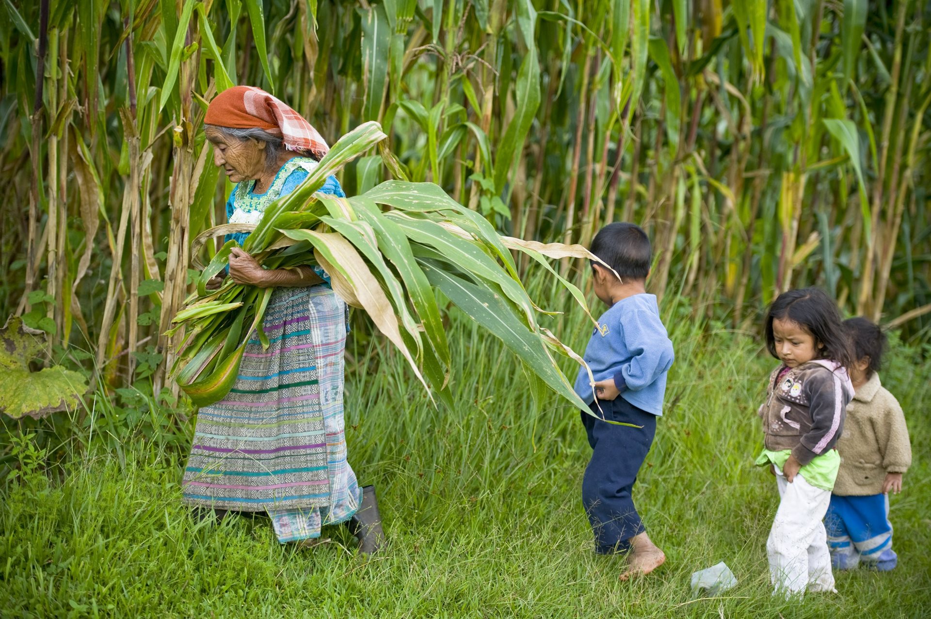 Bienvenidos - Aldeas Infantiles SOS Guatemala
